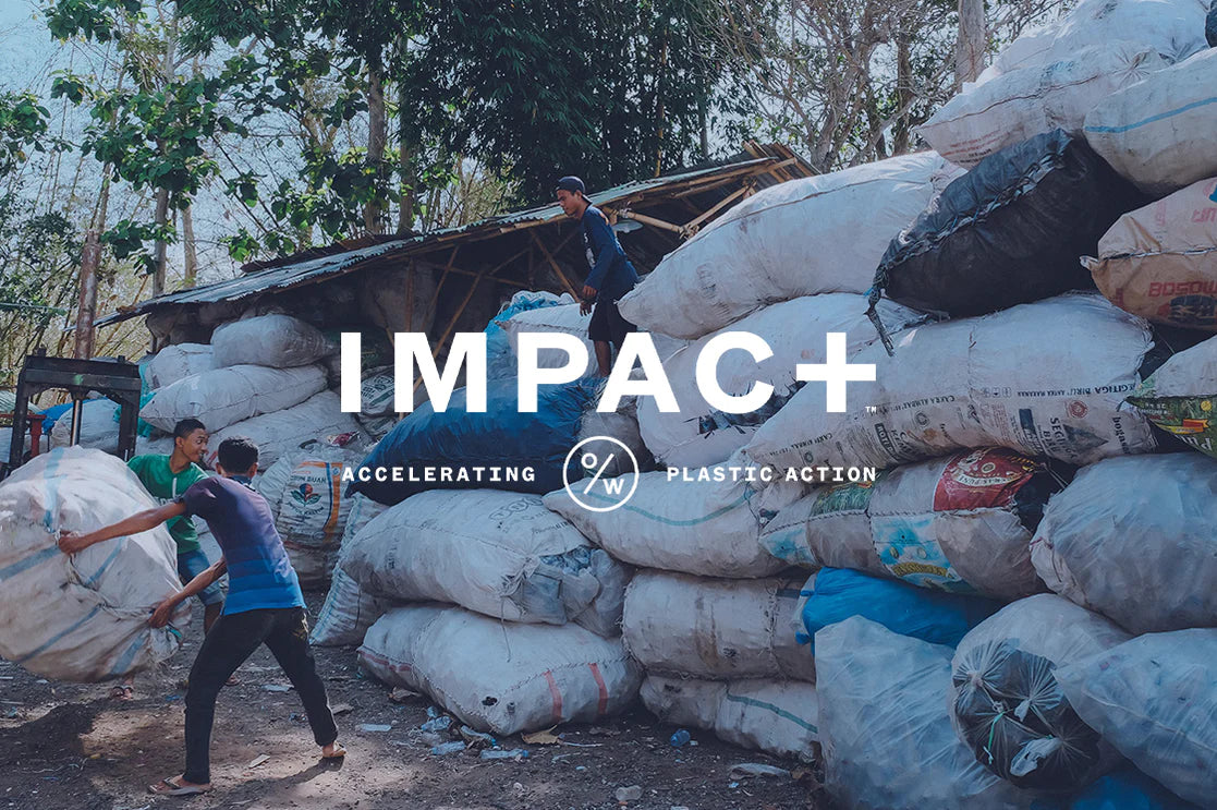 Sustainability Efforts: Bee-ing Better | Best Bee Brothers