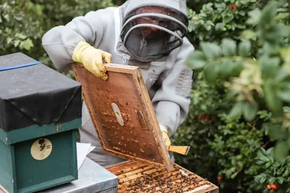 Guide to Implementing Sustainable Pest Solutions