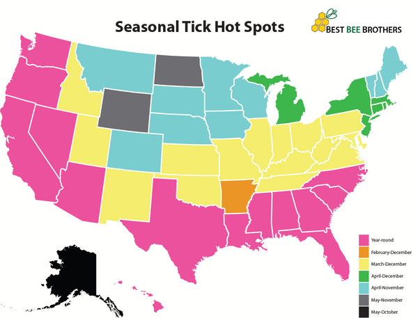 When Is My States Tick Season? [Seasonality Map] | Best Bee Brothers