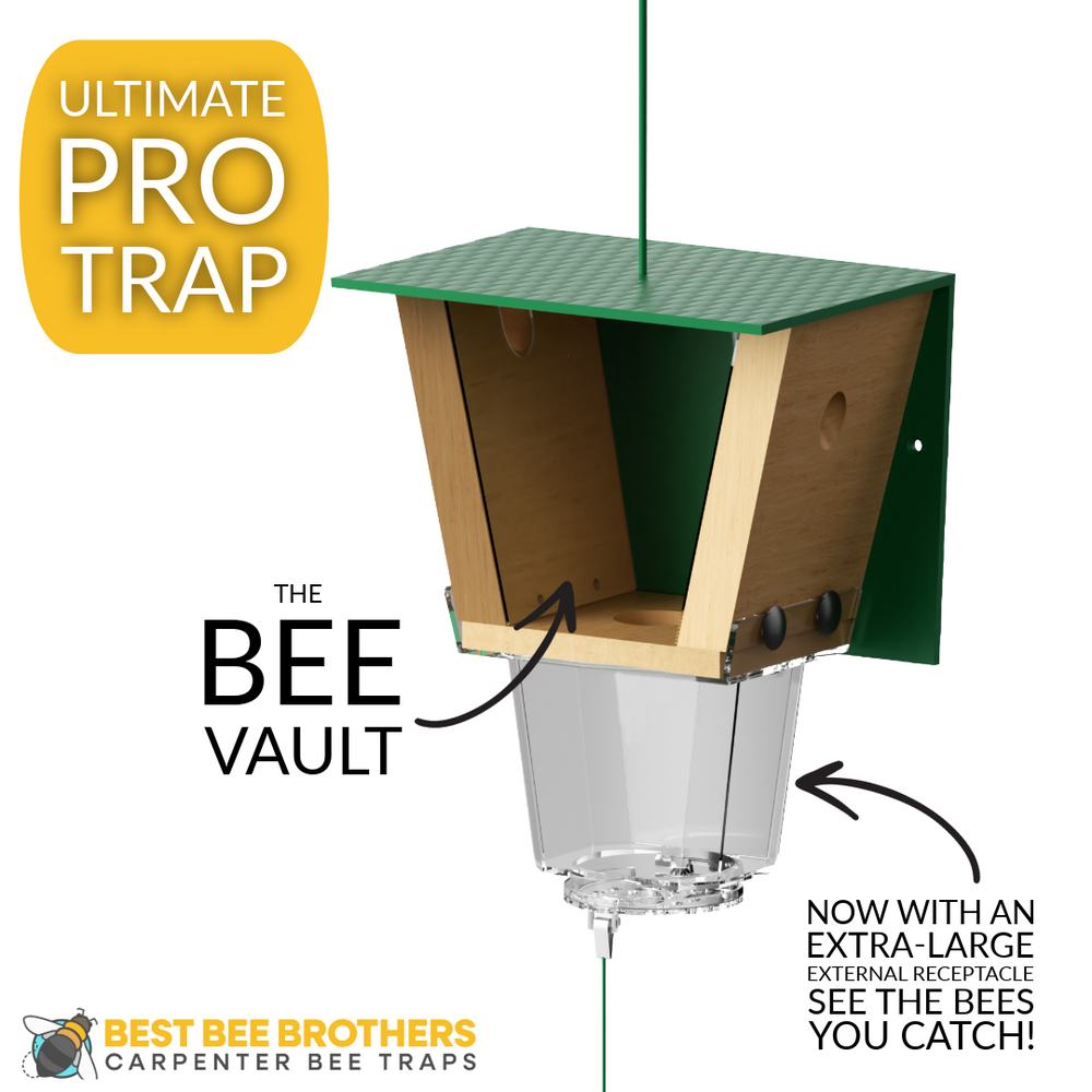 Ultimate Pro, Carpenter Bee Trap with Bee Vault and Extra Large Extern