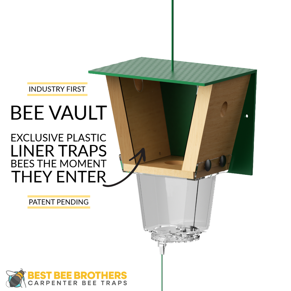 Ultimate Pro, Carpenter Bee Trap with Bee Vault and Extra Large Extern