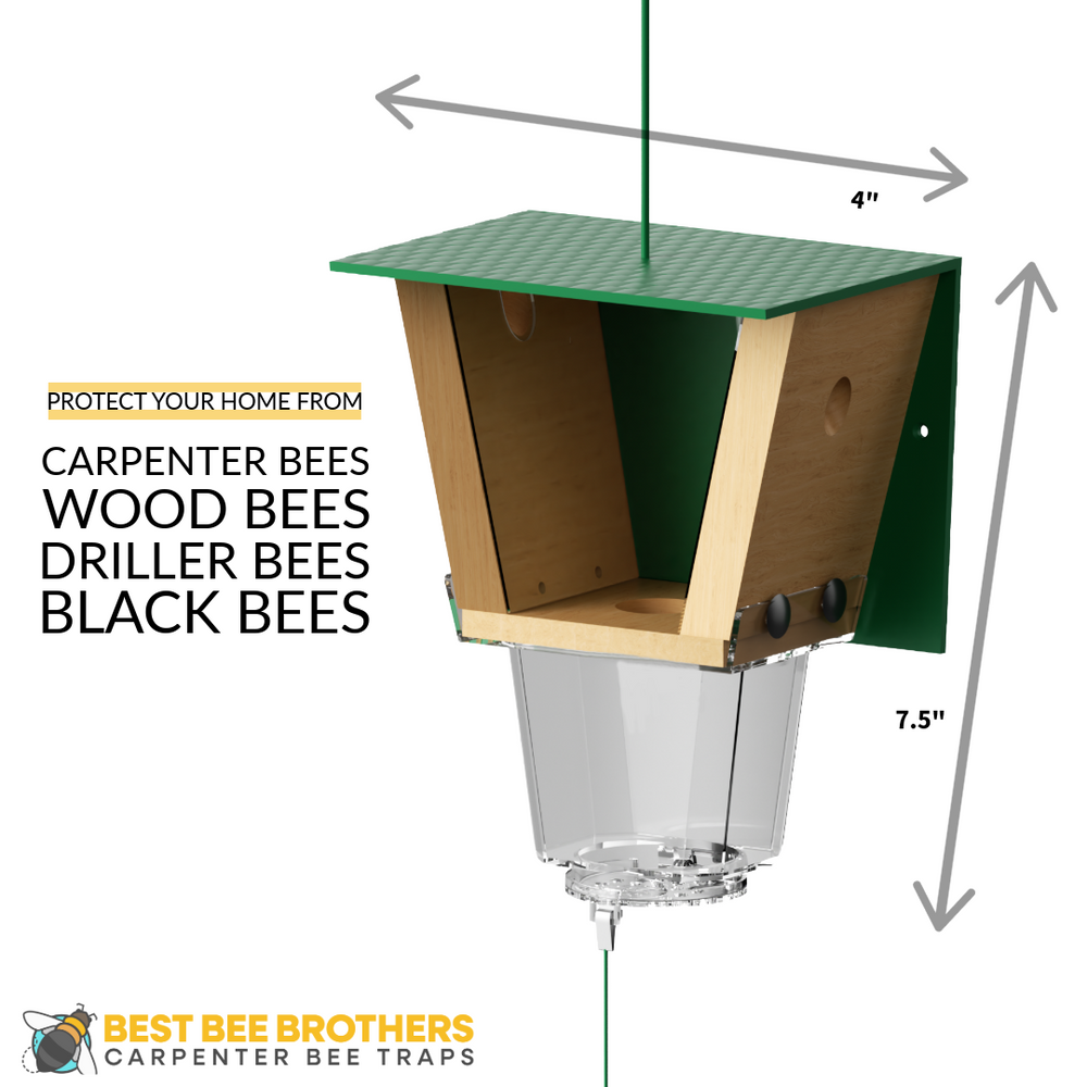 Ultimate Pro, Carpenter Bee Trap with Bee Vault and Extra Large Extern