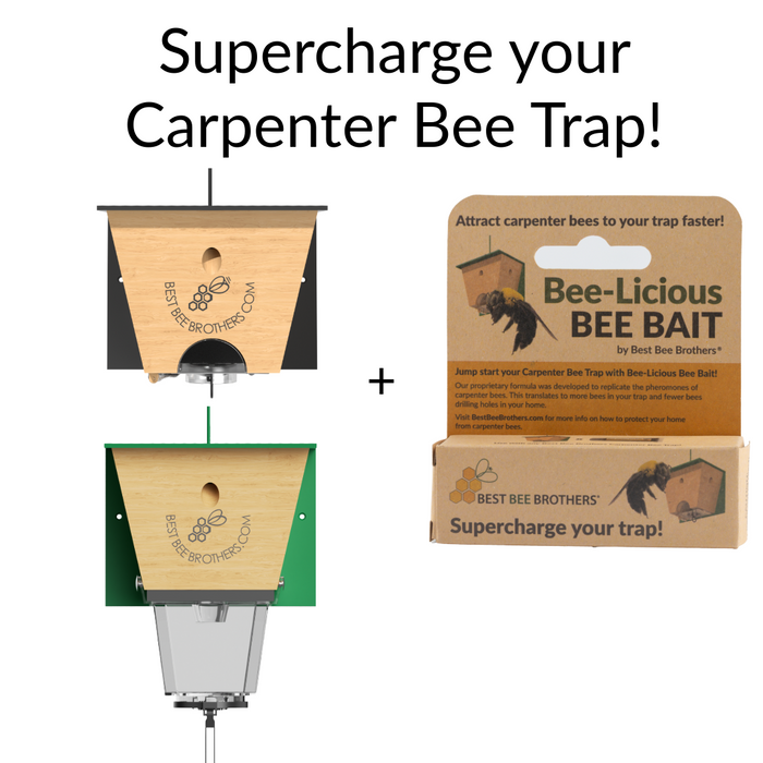 Carpenter Bee Licious Bait: Bee Attractant | Best Bee Brothers