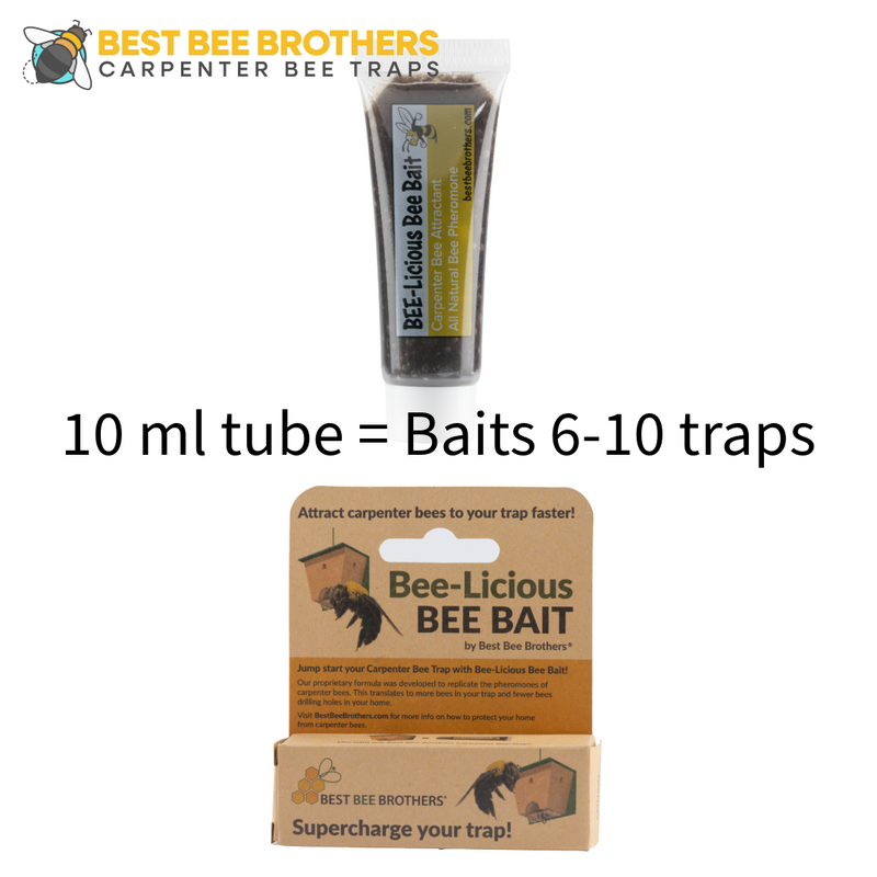 Carpenter Bee Control Kit | Best Bee Brothers