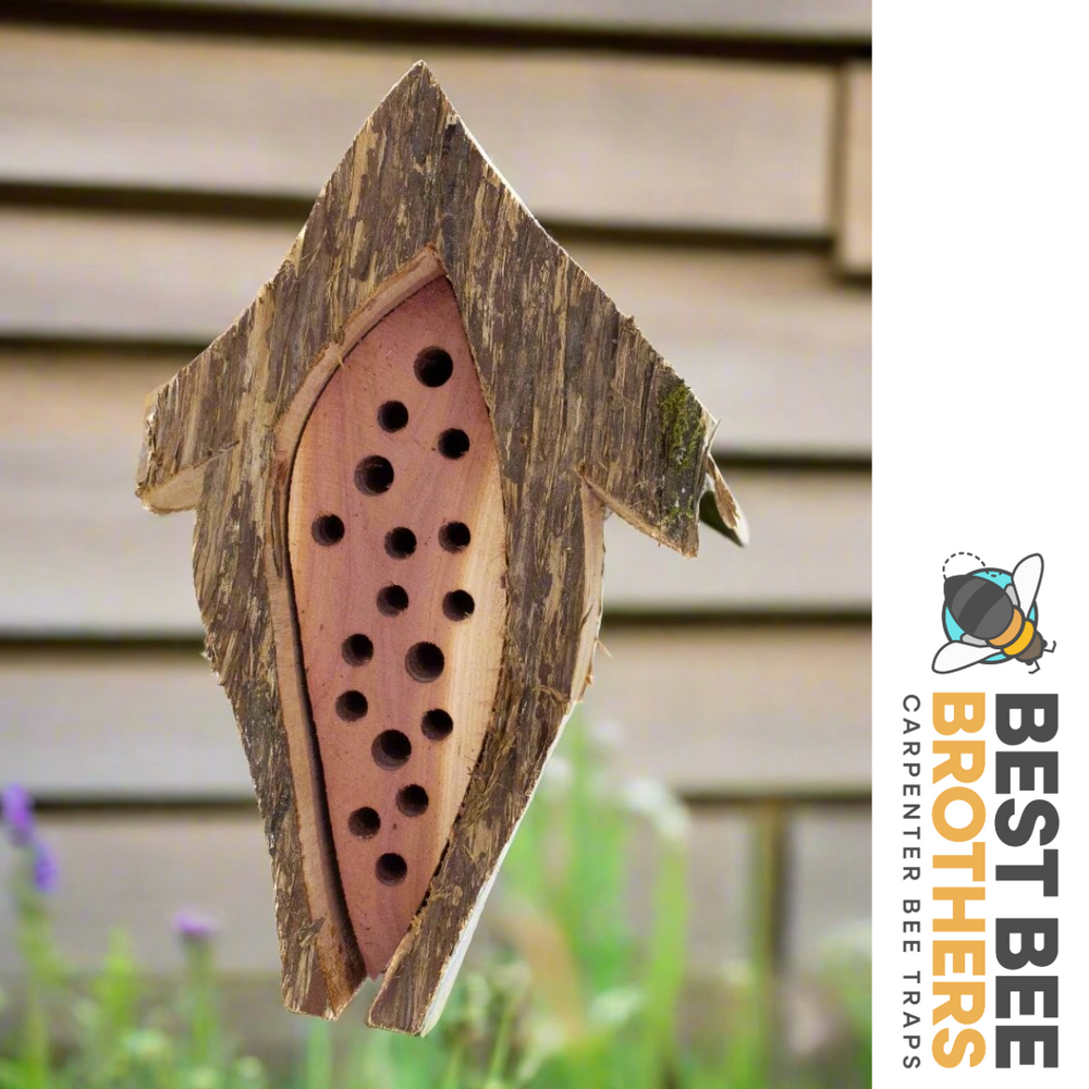 Solitary Bee House: Wooden House for Mason Bees | Best Bee Brothers