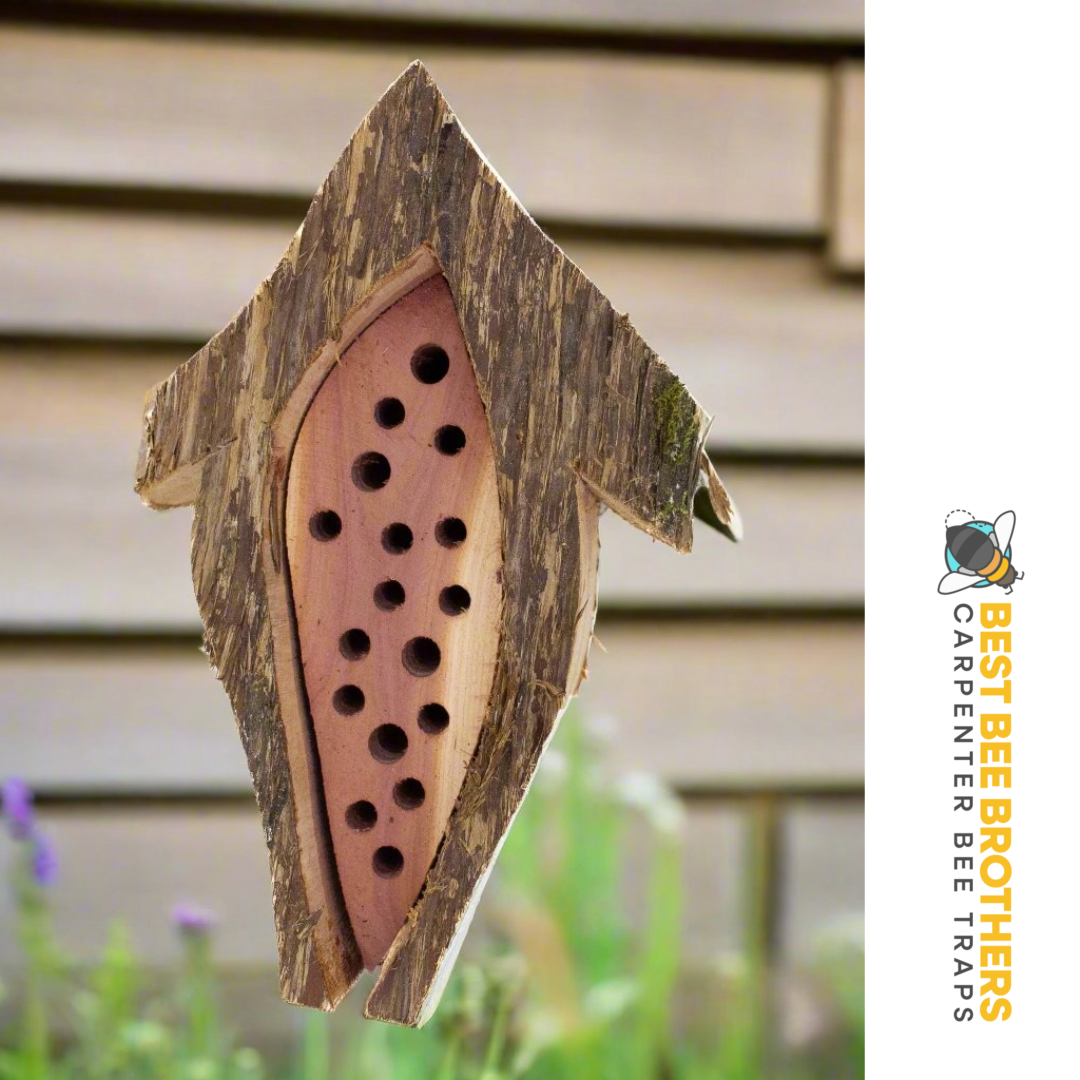 Best Bee Brothers Bee Lodge - Best Bee Brothers