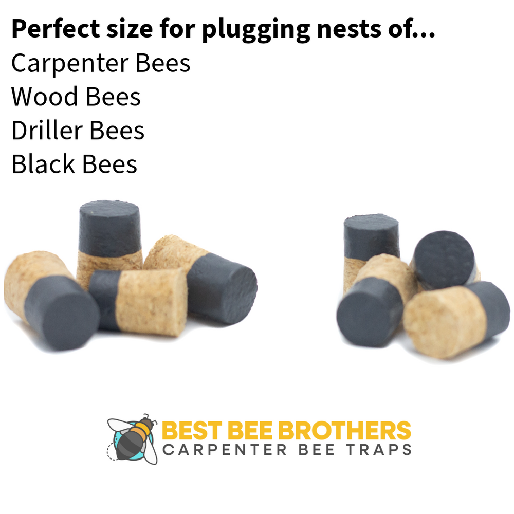 Wooden Cork Plugs to Fix Carpenter Bee Holes - Best Bee Brothers