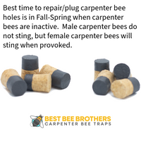 Wooden Cork Plugs to Fix Carpenter Bee Holes - Best Bee Brothers