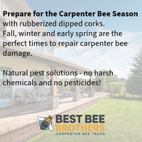 Wooden Cork Plugs to Fix Carpenter Bee Holes - Best Bee Brothers