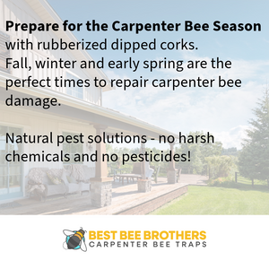 Wooden Cork Plugs to Fix Carpenter Bee Holes - Best Bee Brothers