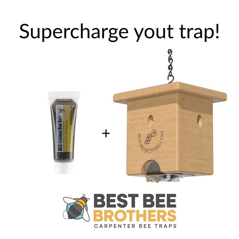 Carpenter Bee Pine Turbo Trap | Best Bee Brothers