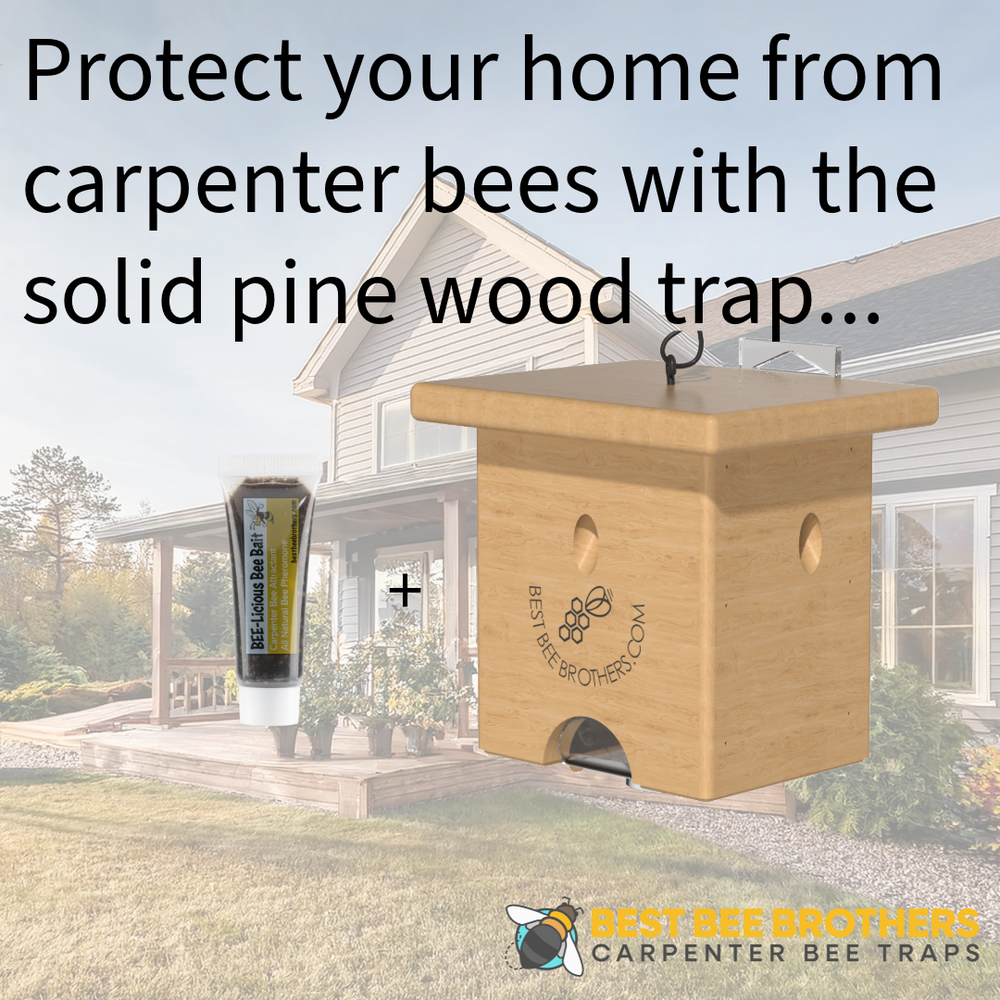 Carpenter Bee Pine Turbo Trap | Best Bee Brothers
