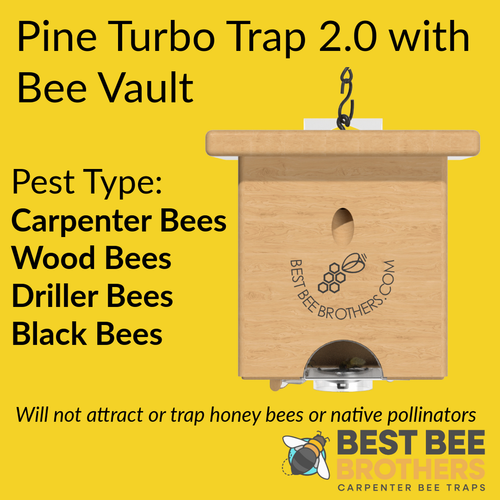 Carpenter Bee Pine Turbo Trap | Best Bee Brothers