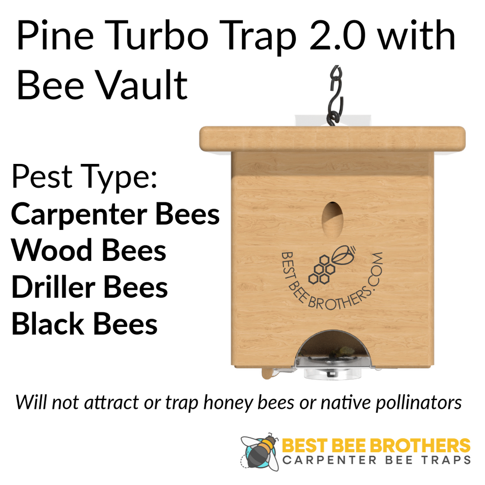 Carpenter Bee Pine Turbo Trap | Best Bee Brothers