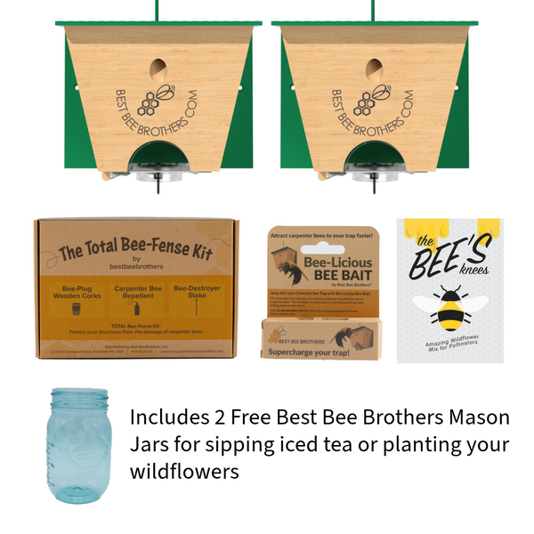 Carpenter Bee Turbo Trap Gift Box | Best Bee Brothers