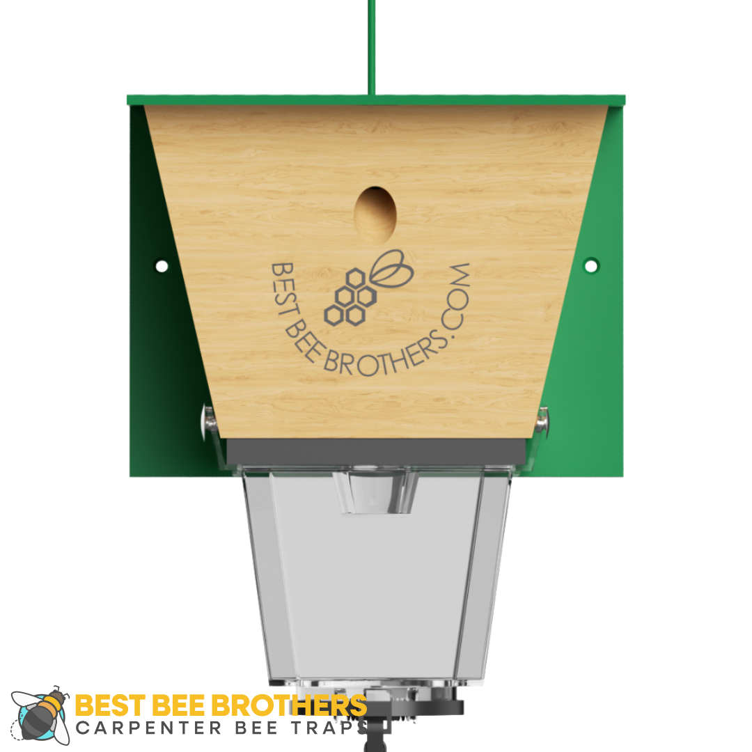 Ultimate Pro, Carpenter Bee Trap with Bee Vault and Extra Large Extern