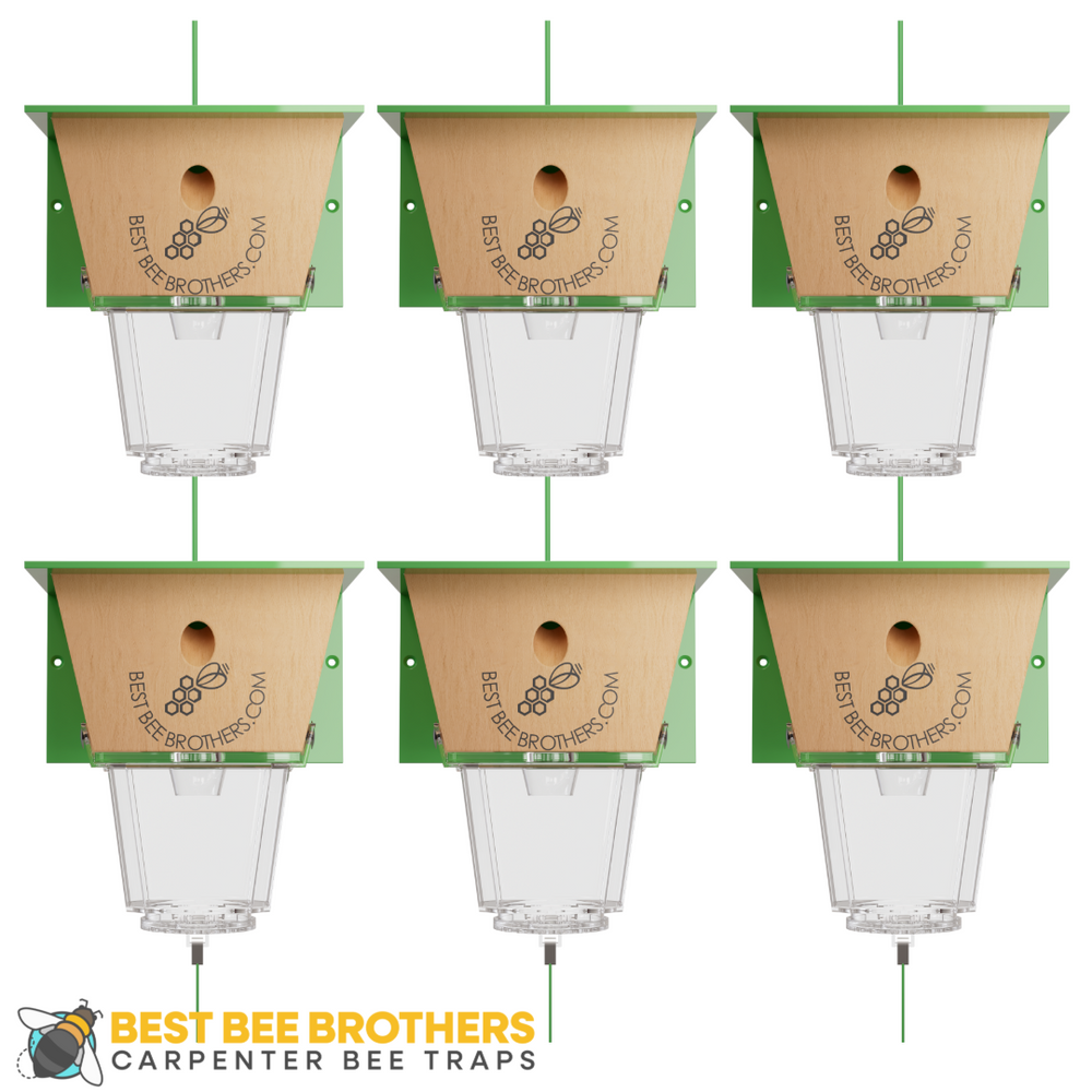 Ultimate, Carpenter Bee Trap with Large External Receptacle