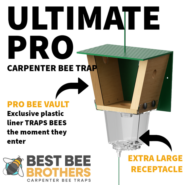 Ultimate Pro, Carpenter Bee Trap with Bee Vault and Extra Large Extern