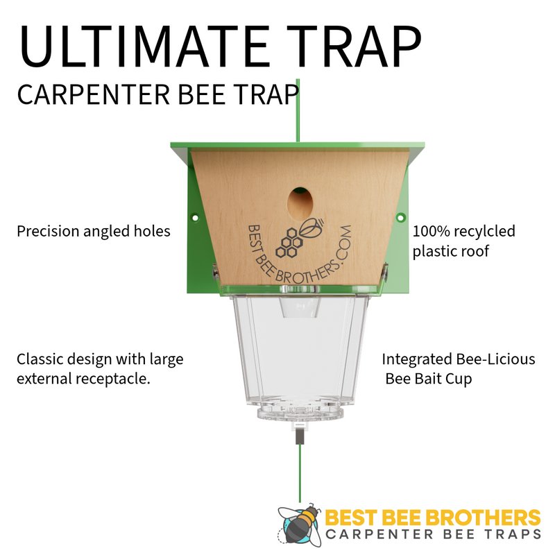 Ultimate, Carpenter Bee Trap with Large External Receptacle