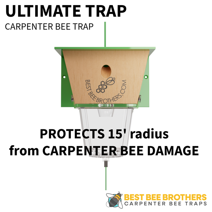 Ultimate, Carpenter Bee Trap with Large External Receptacle