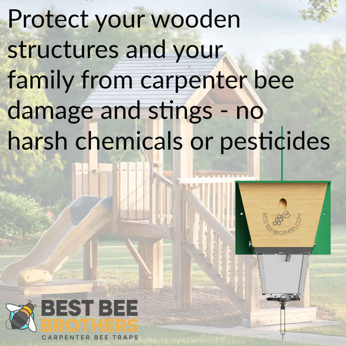 Ultimate Pro, Carpenter Bee Trap with Bee Vault and Extra Large Extern