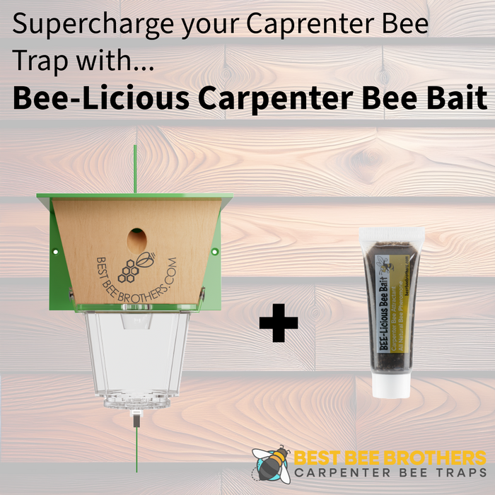 COMBO #2 - 2 Ultimate Pro Carpenter Bee Traps with Bee Vault and 1 Bee