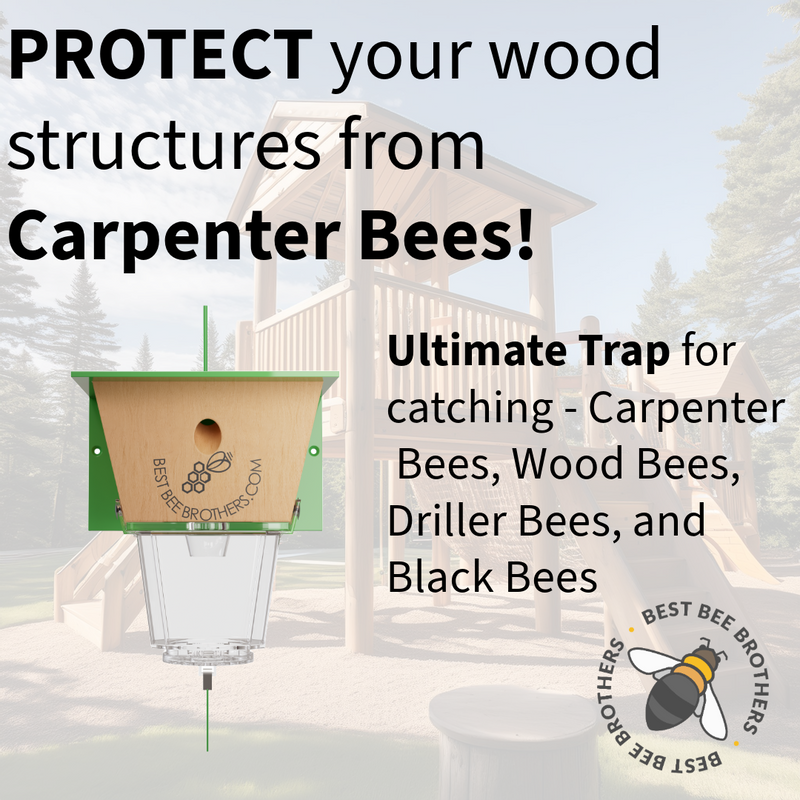 COMBO #2 - 2 Ultimate Pro Carpenter Bee Traps with Bee Vault and 1 Bee