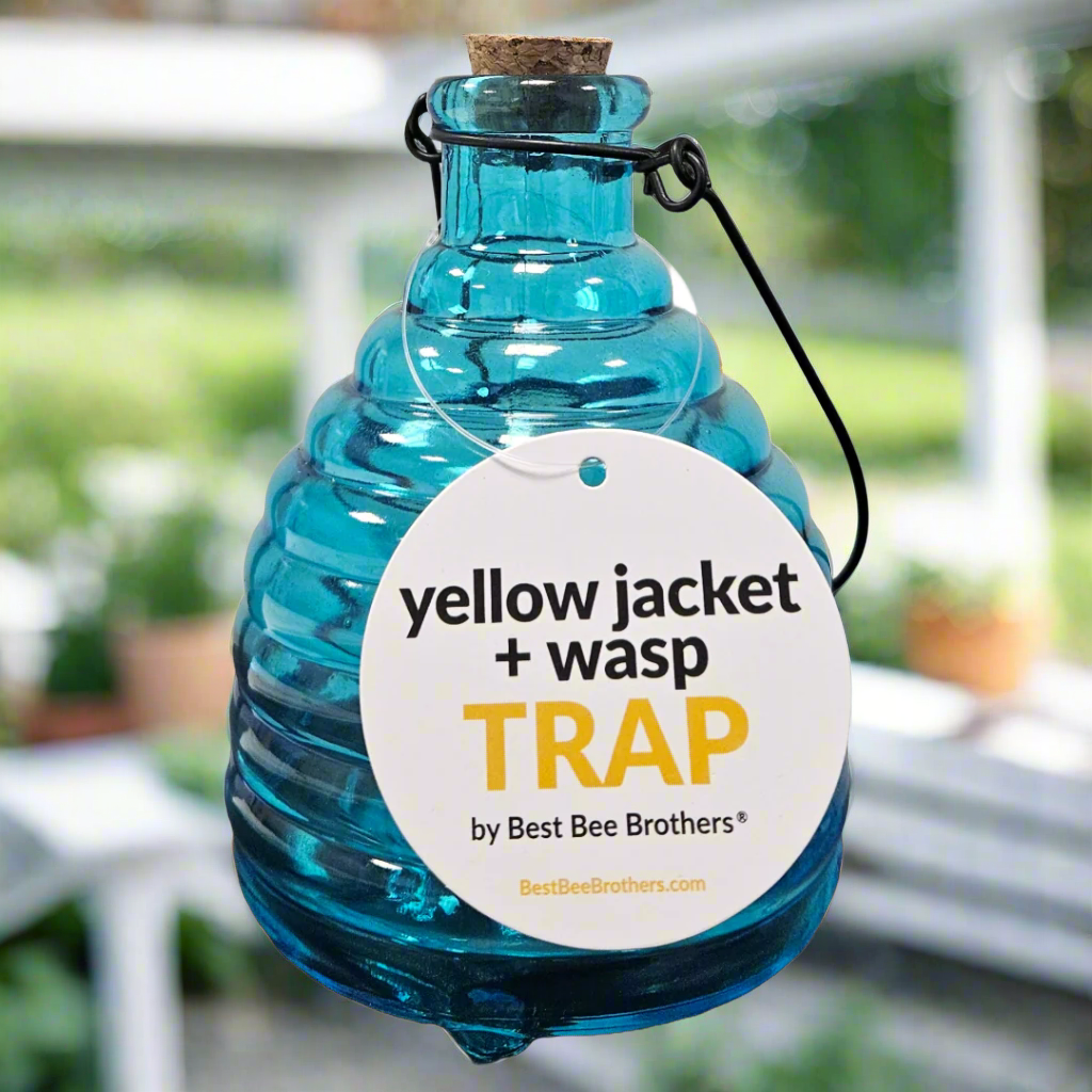 Glass Wasp Trap: Attractive Wasp Catcher - Best Bee Brothers