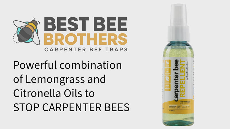 Citrus Carpenter Bee Repellent Spray | Best Bee Brothers
