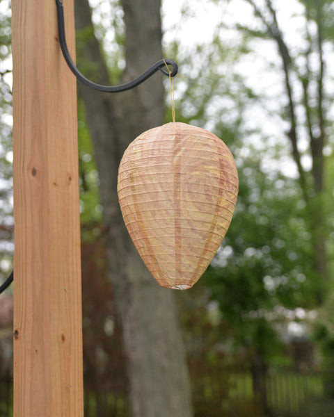 Wasp Deterrent: 2 Pack - Fake Wasp Nest to Repel Wasps | Best Bee Brothers